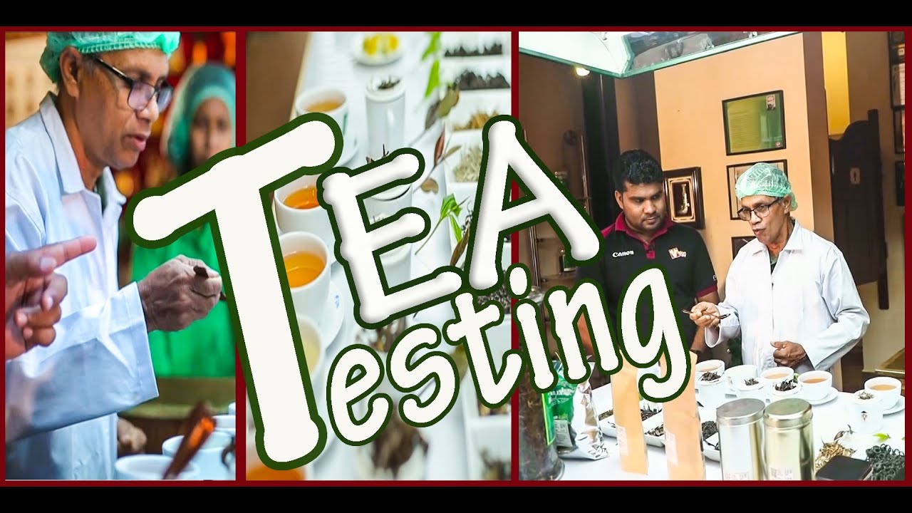 Tea Tasting Sri lanka (අහල තිබ්බට හරිම විදිහ දැකල නැති අයට... )👌 - YouTube