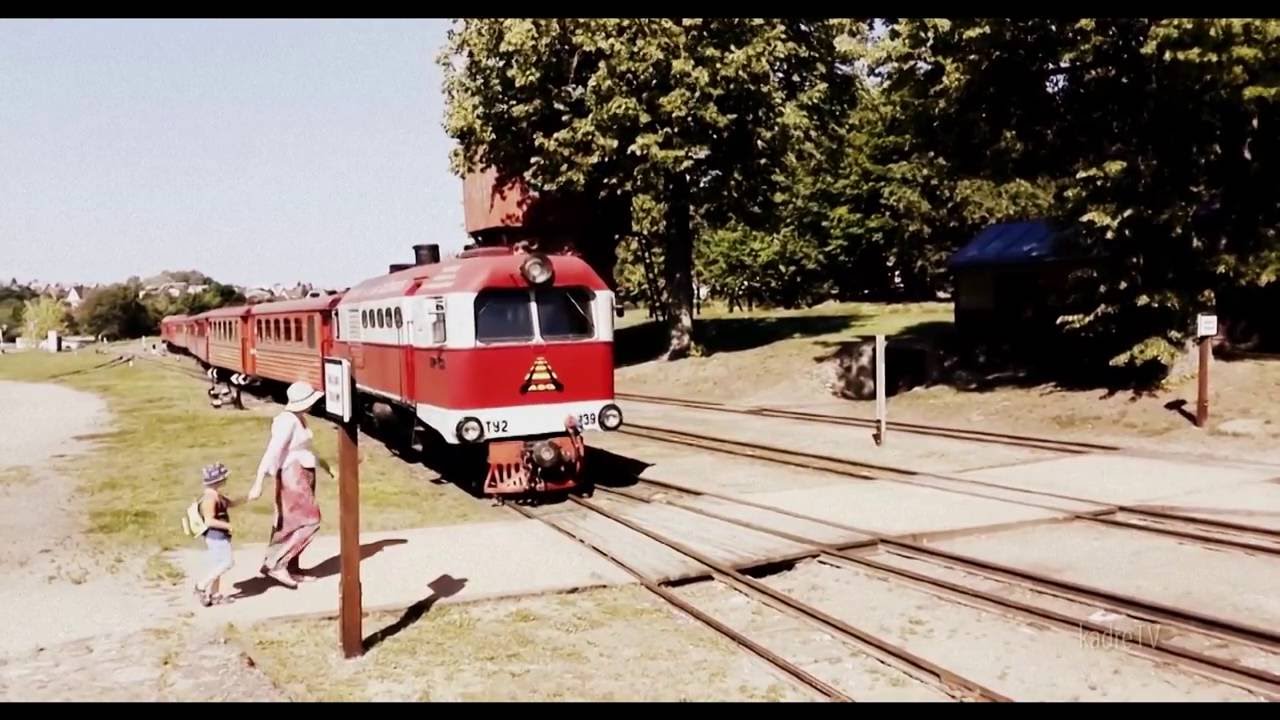 Siaurasis gelezinkelis arba siaurukas. Lithuania, Anyksciai. Narrow ...