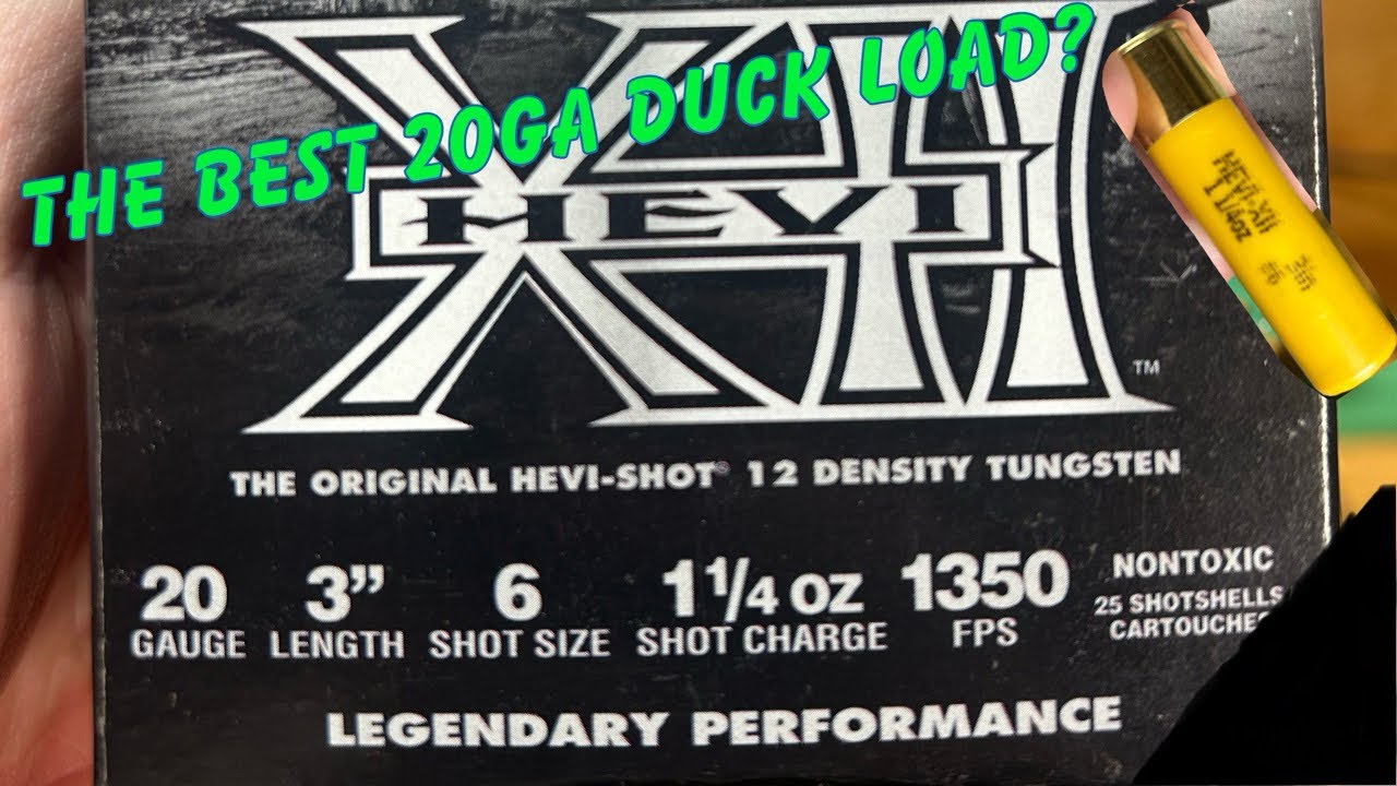 The Best 20ga Duck Load? HEVI-XII 3” 1.25oz 6 Shot - Shell breakdown ...