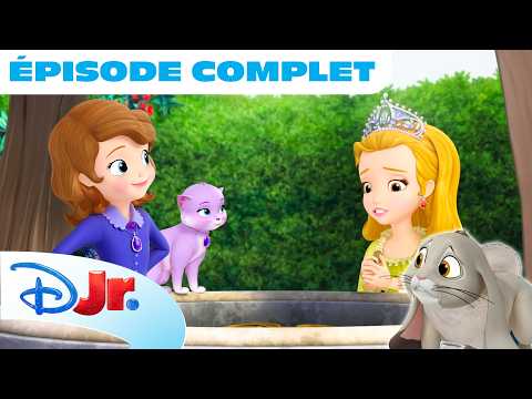 The Wishing Well ✨🤭 Princess Sofia full episode | Animated series