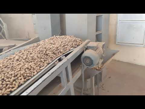 Kabuklu yer fıstığı işleme tesisi -  Shell peanut processing plant