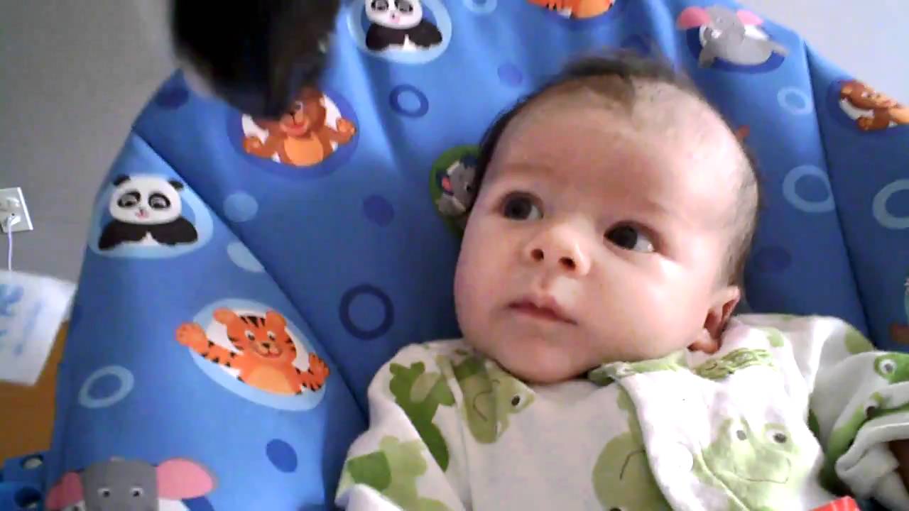 Declan and Panda - YouTube