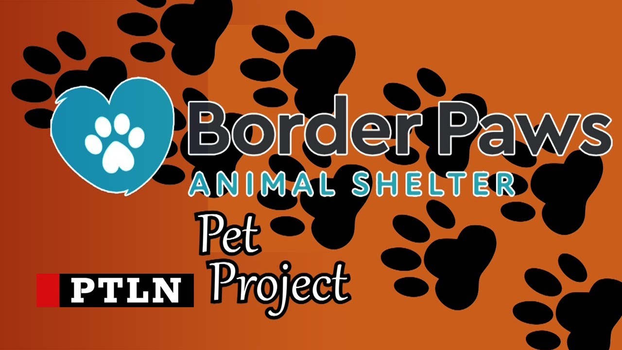 Weekly Border Paws feature - YouTube