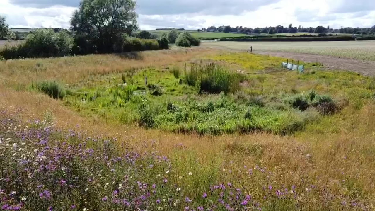 Evenlode NFM wetland habitats - YouTube