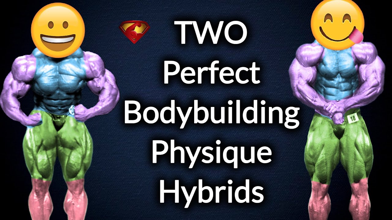 The Perfect Bodybuilding Physique Hybrid (Most Muscular) - YouTube