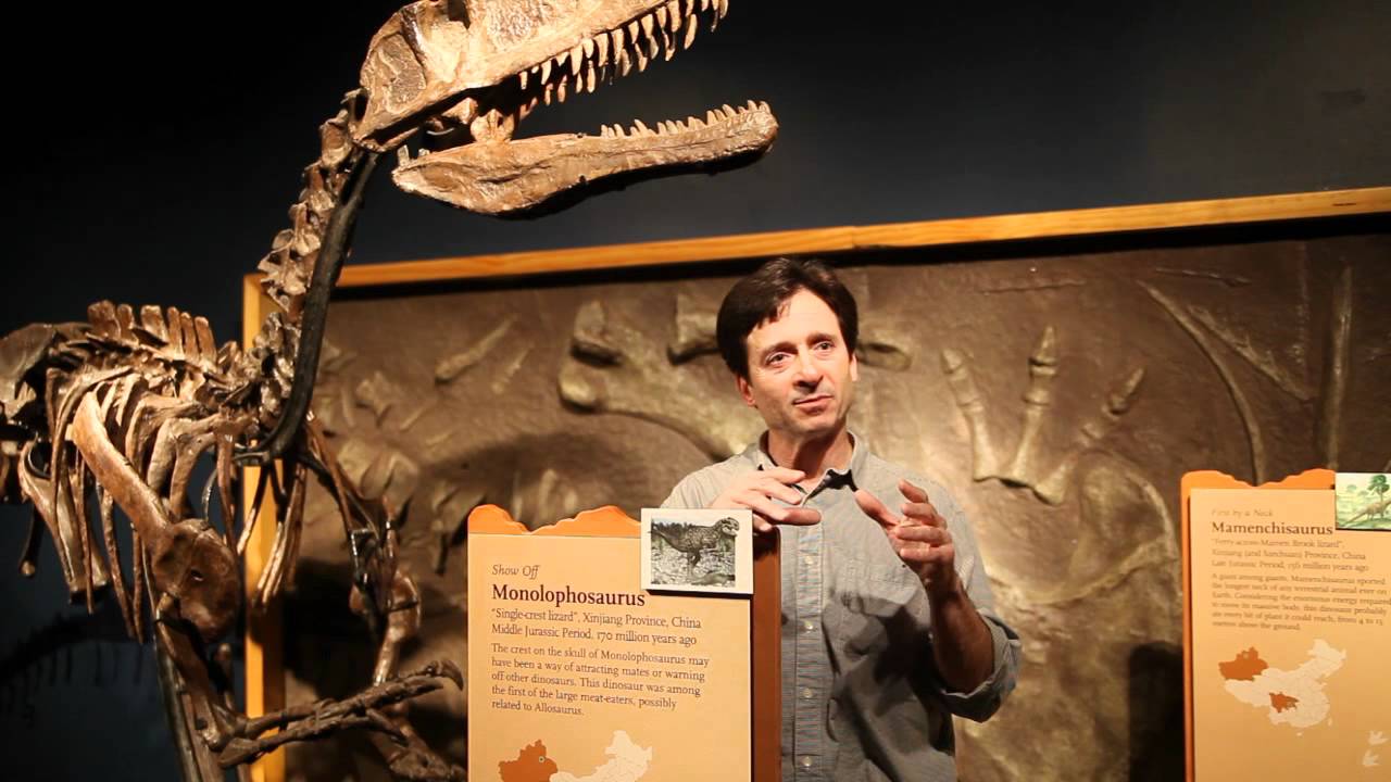 Paleontologist Tony Fiorillo talks about the Chinasaurs exhibit at ...