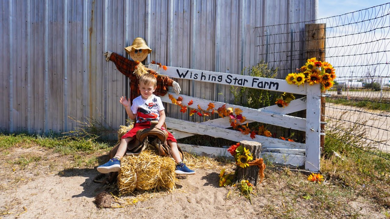 Best Farm Video With Jamie !! Kids Learn About Animals (Educational ...