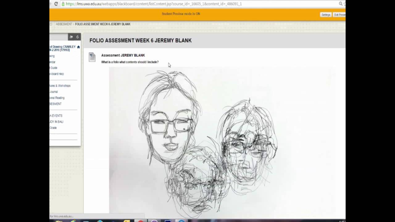 Art of Drawing VISA 1054 Week 6 Assessment - YouTube
