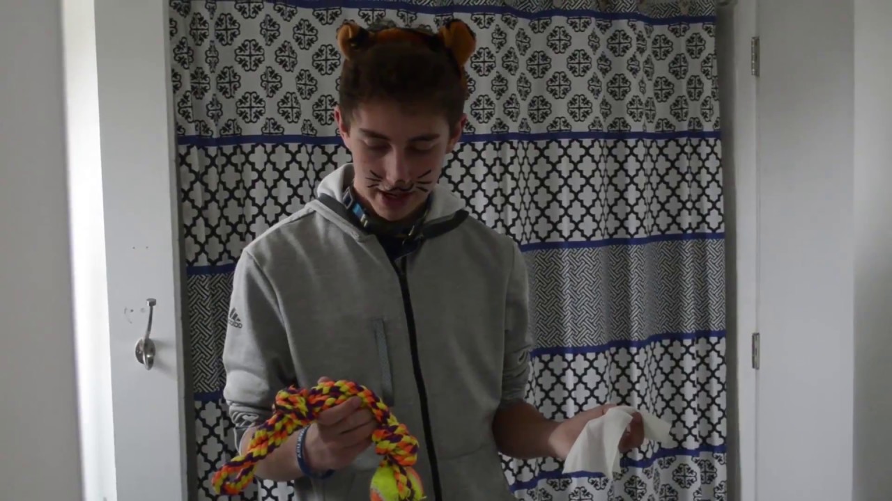 Life's Ruff Trailer - YouTube