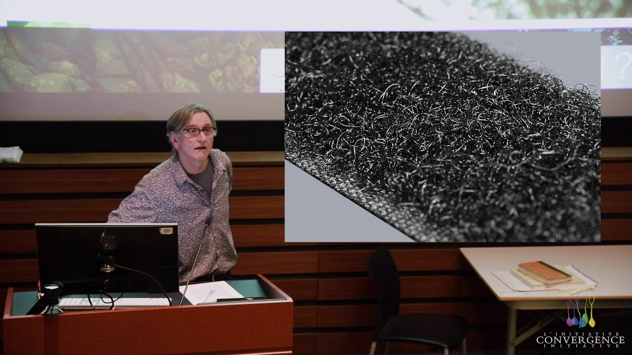 Erwin Regler Biomimicry - YouTube