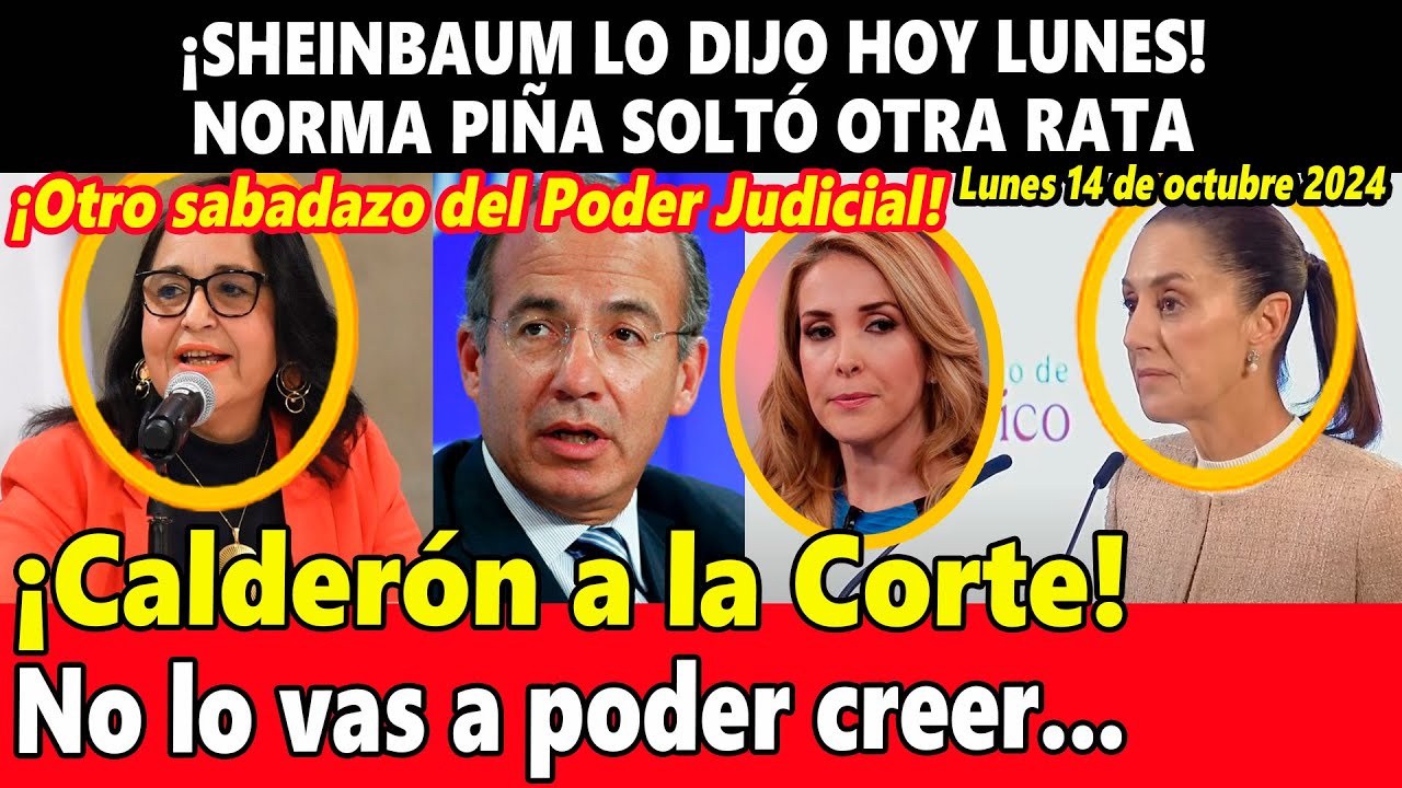 ¡Sheinbaum lo dijo hoy lunes! Norma Piña soltó otra rata ¡Calderón a la ...