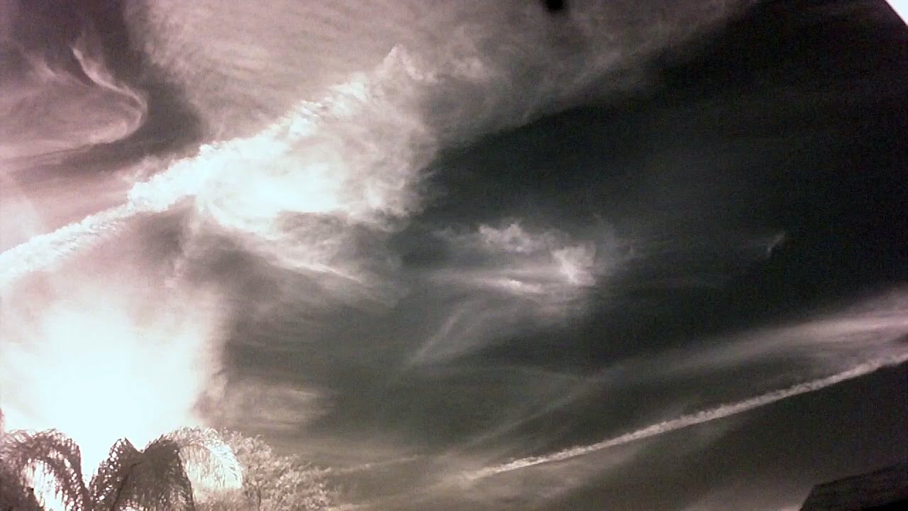 WHO/WHAT Is In Our Skies, Bird vs Bug vs Flying Rod, Skyfish, Infrared ...