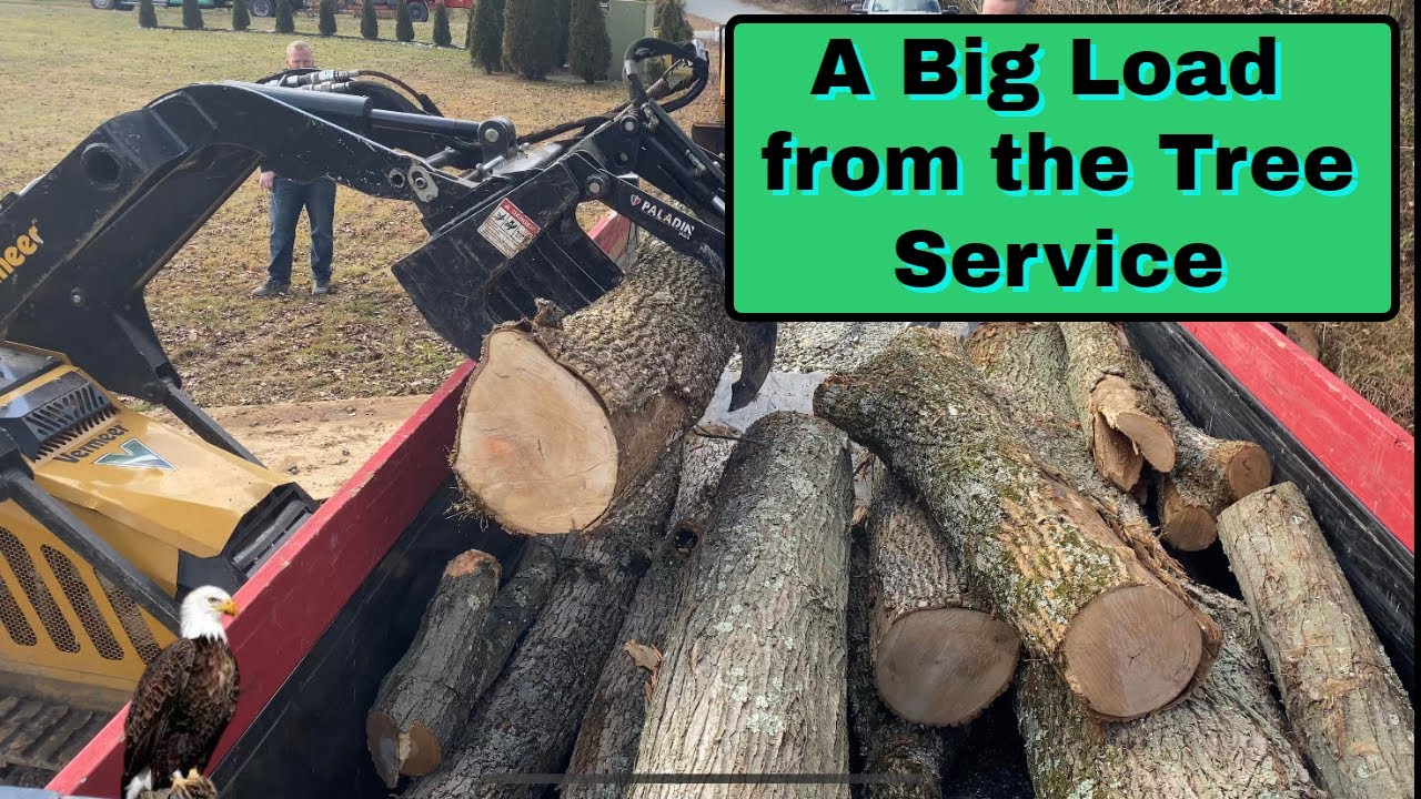 A SURPRISE TREE SERVICE HAUL - #64 - YouTube
