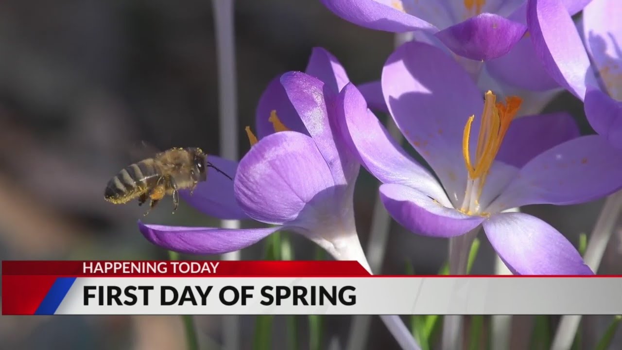 Happy 1st day of spring - YouTube