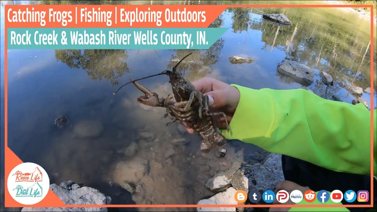 Exploring Rivers and Riverside in Indiana Catching Crawfish Frogs ...
