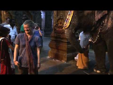 Anja blessed by (another) elephant, Madurai