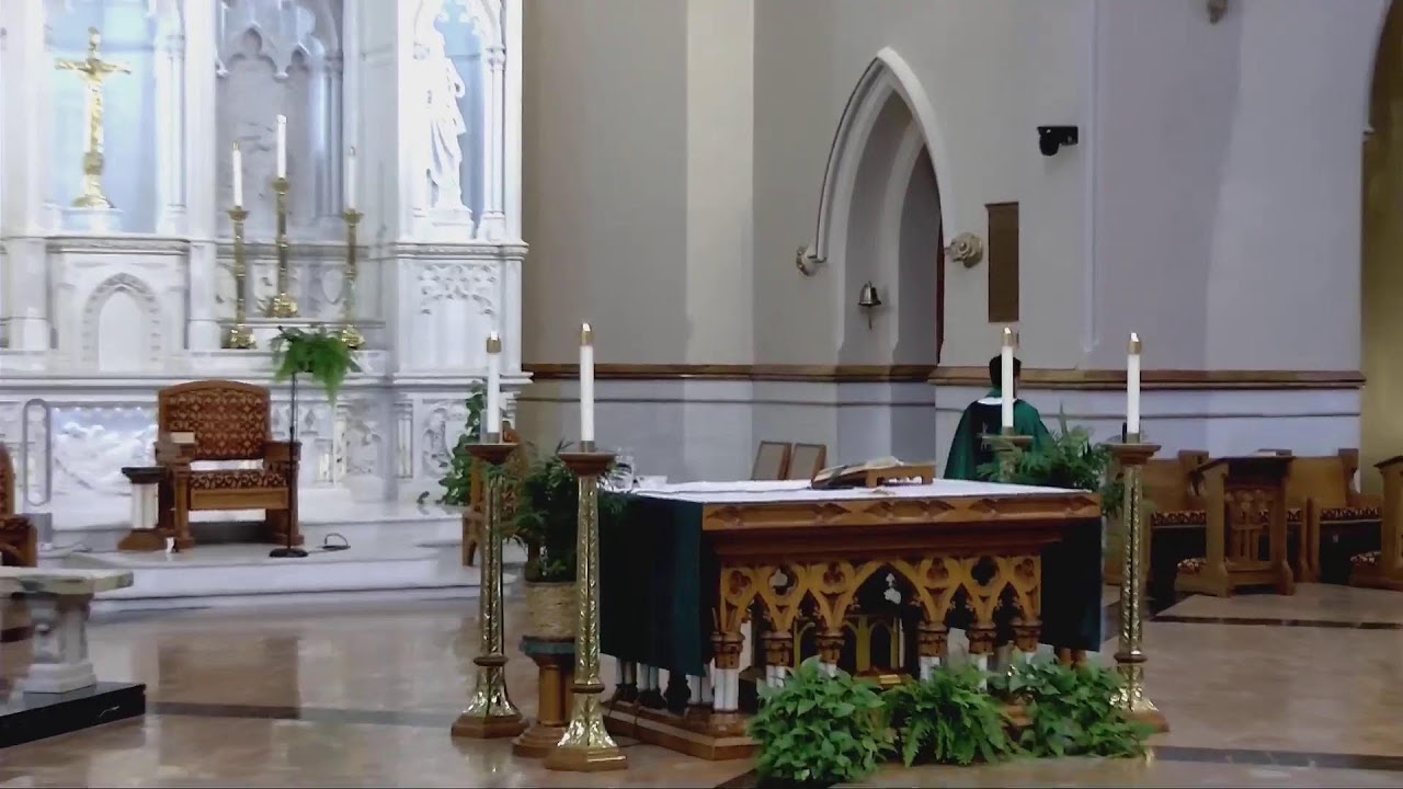 Friday of the Fifteenth Week in Ordinary Time, Father David Renne ...