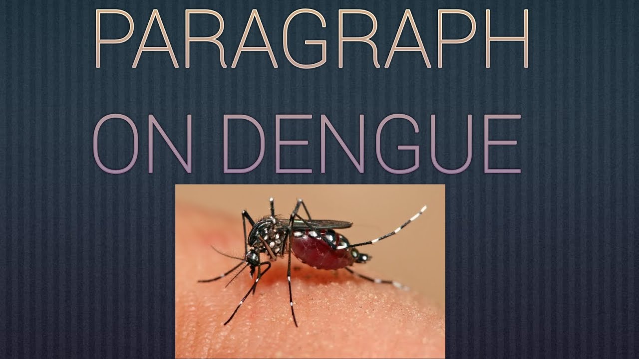 paragraph on dengue (100 to 120 words) - YouTube