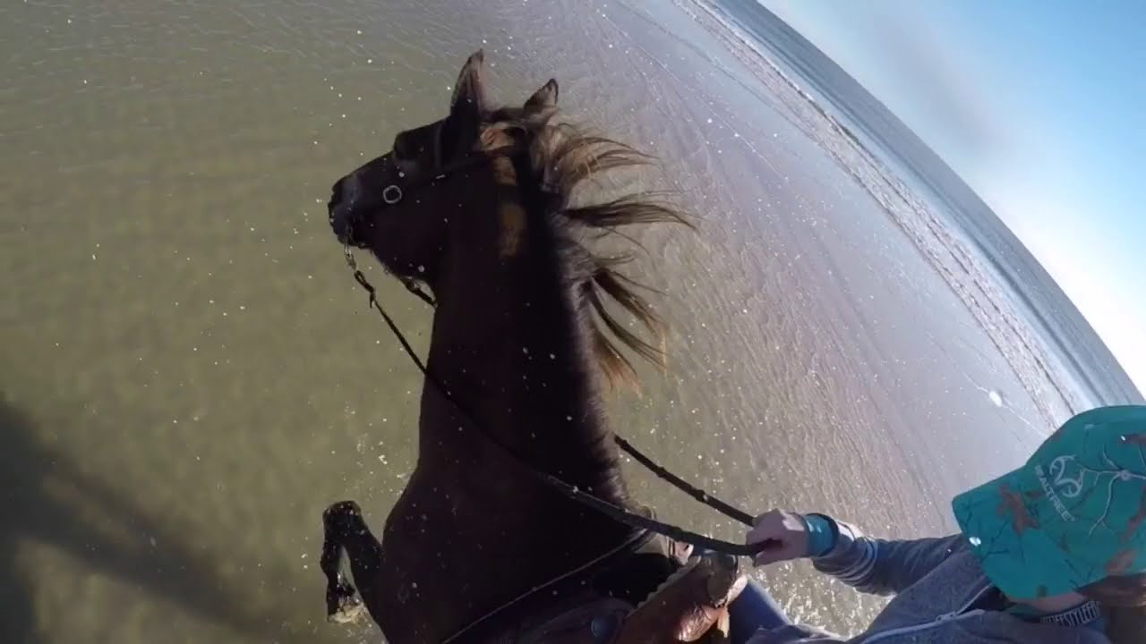 ~Wave Walker~ - YouTube