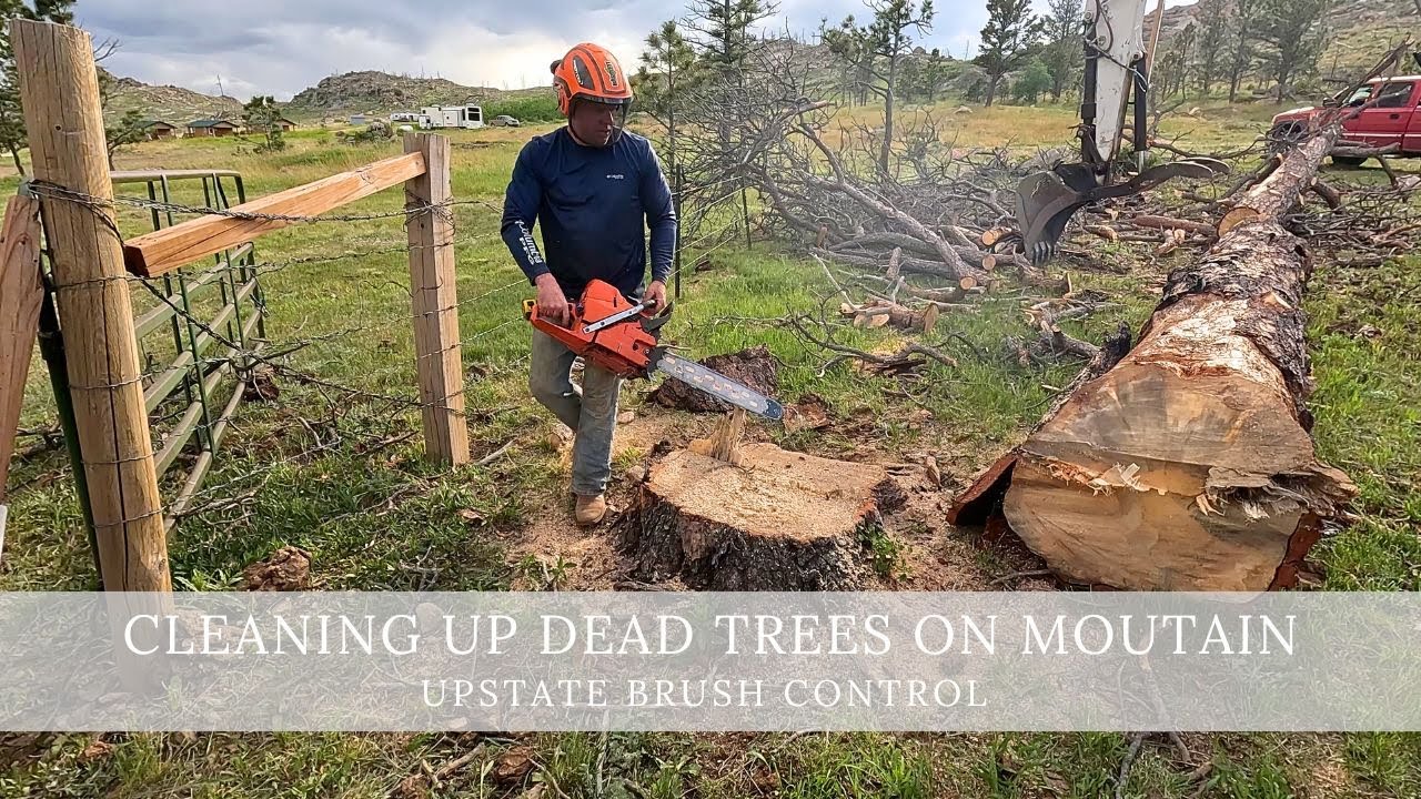 Cleaning up fallen trees and mulching them in Wyoming - YouTube