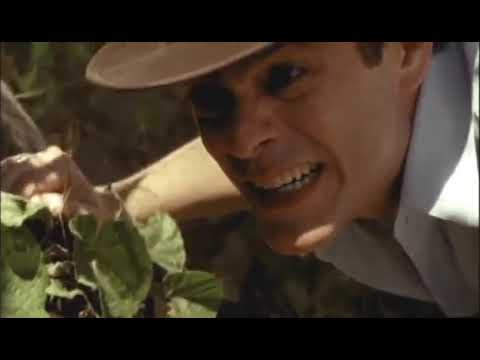 Donde acaban los caminos Película Guatemalteca
