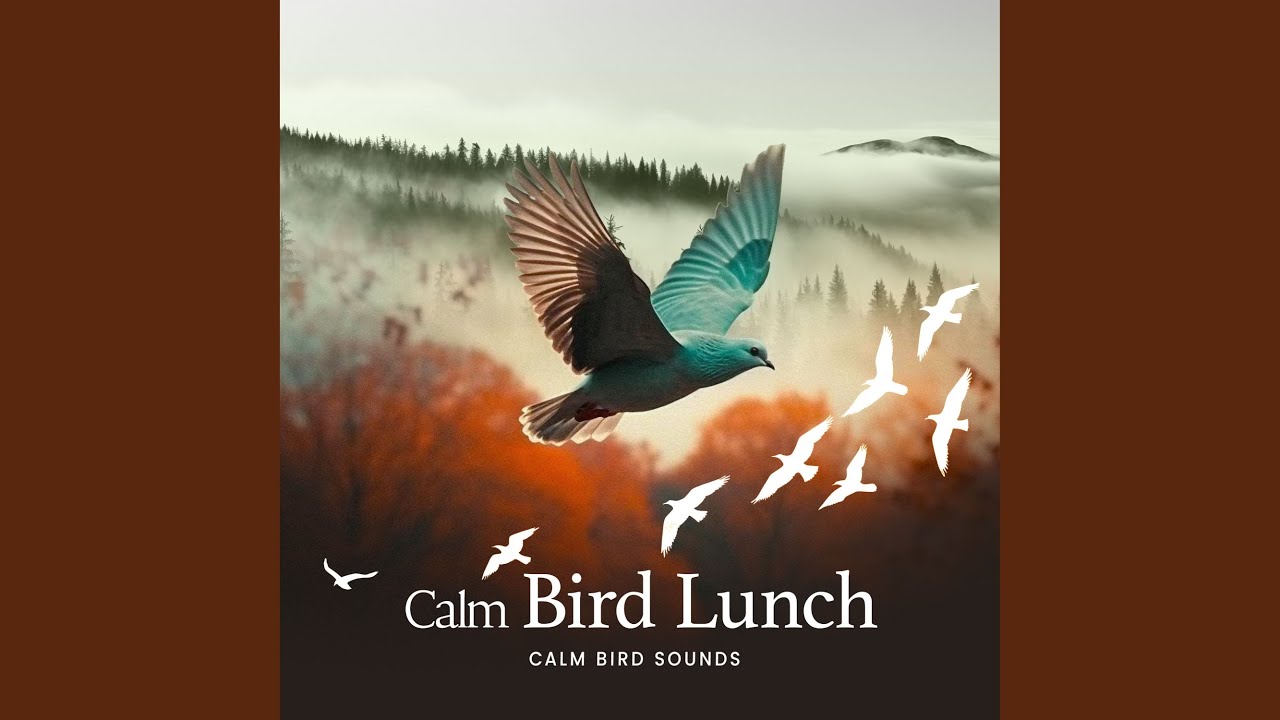 Muffled Rain & Birds - YouTube