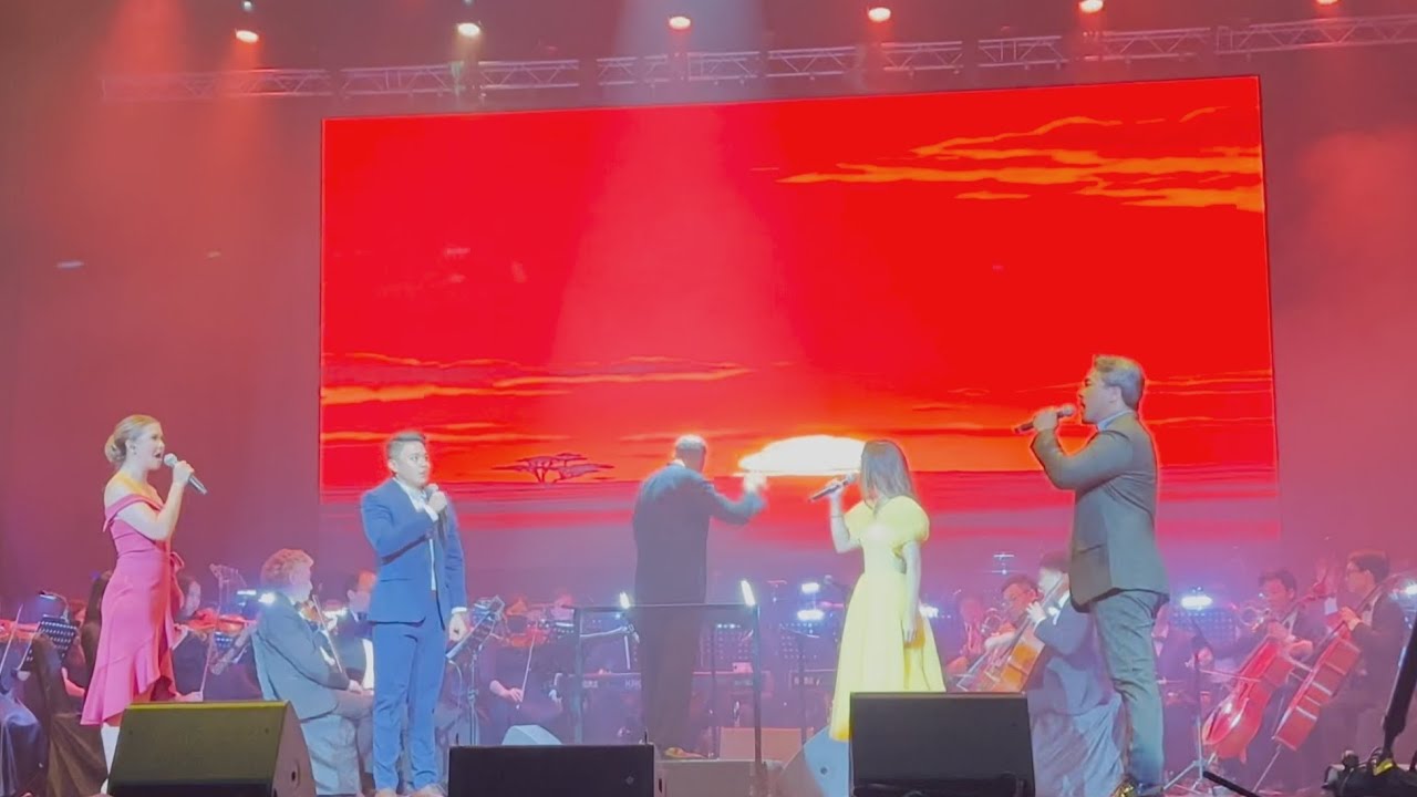Circle Of Life (The Lion King) by Vien King - YouTube