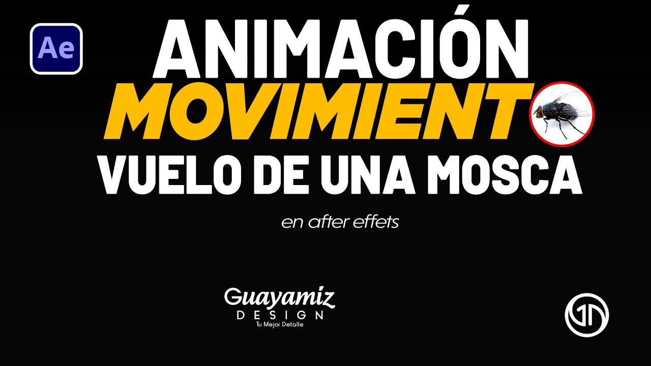 ANIMACIÓN Movimiento de VUELO de una Mosca | Adobe After Effects ...