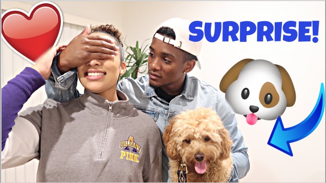 Surprising My Girlfriend WITH A PUPPY To See How She Reacts... - YouTube