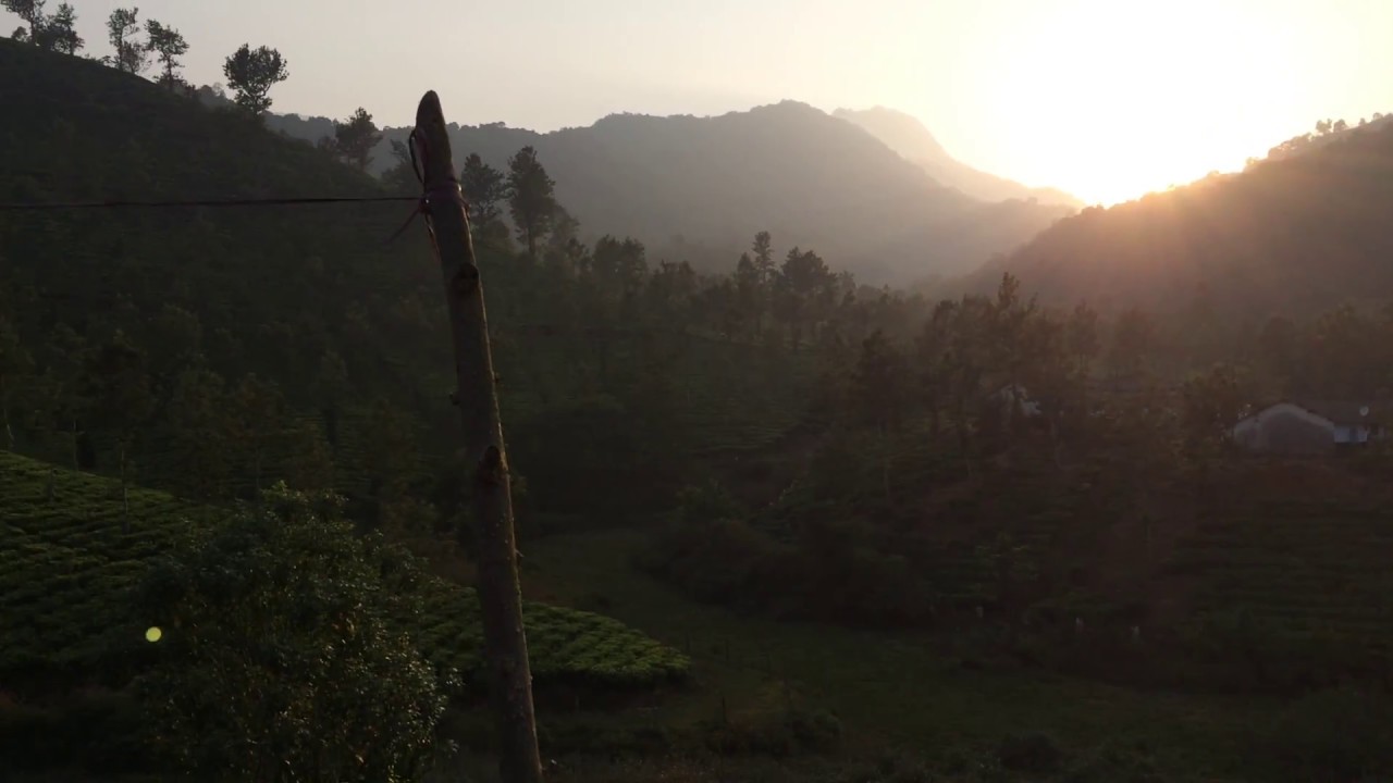 The road from Soochipara waterfall to Meppadi - YouTube