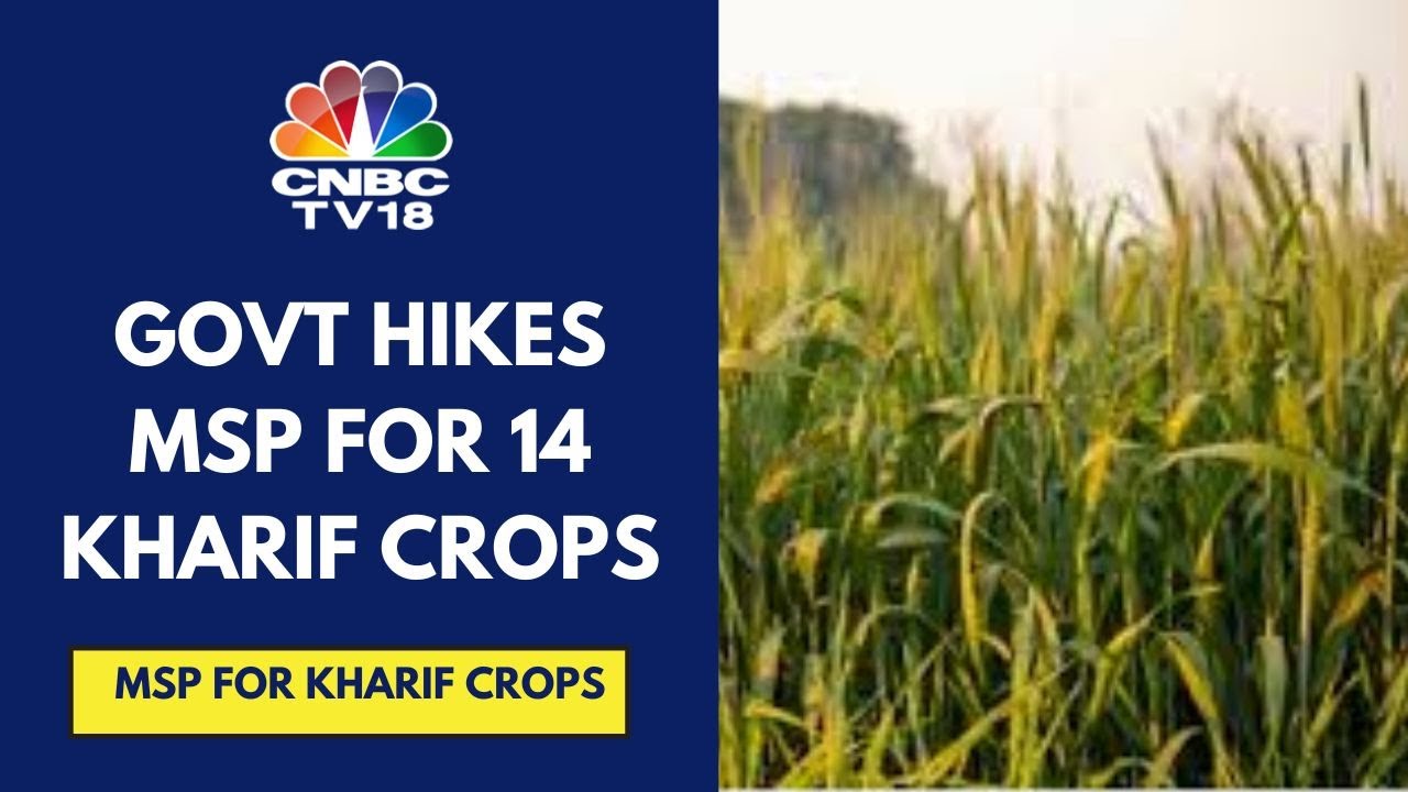 Govt Hikes Overall MSP For 14 Kharif Crops For The 2024-25 Season By 21 ...