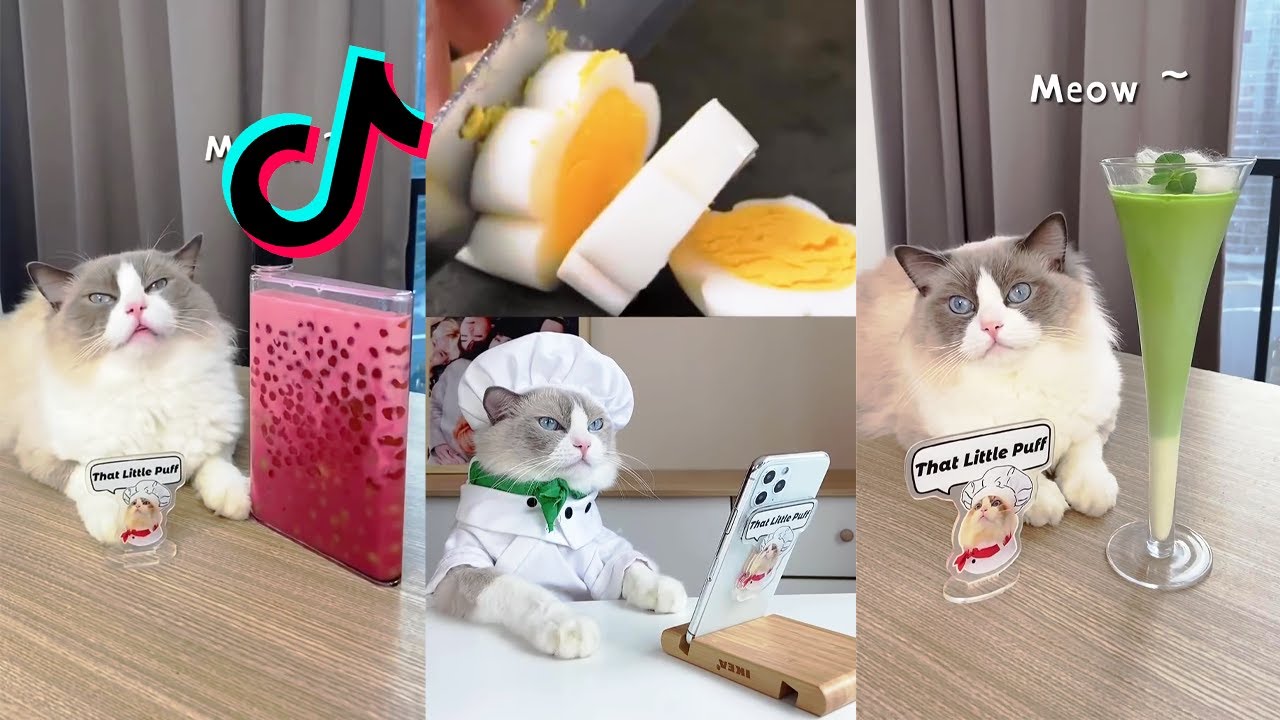 That Little Puff Tiktok Compilation #15 - YouTube