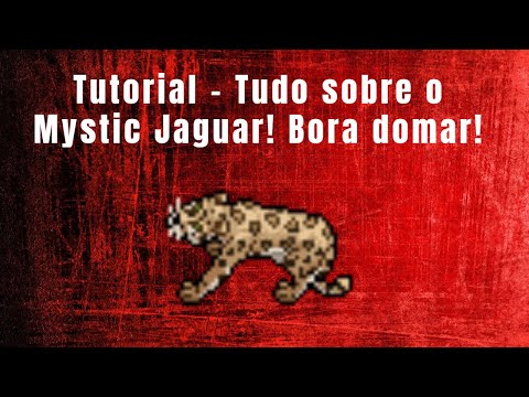 Tibia Tutorial - Tudo sobre o Mystic Jaguar. Bora domar a montaria?