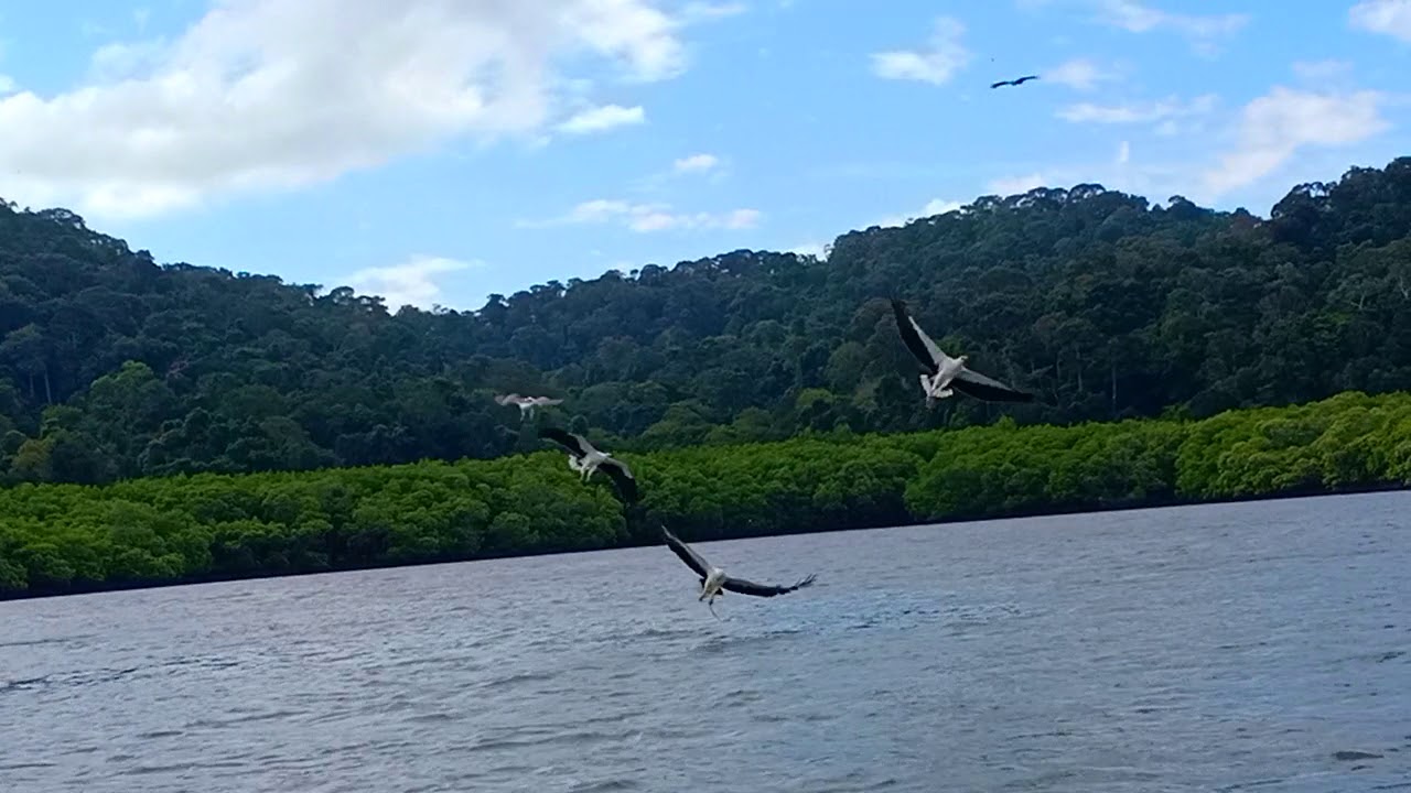 PULAU HELANG, LANGKAWI - YouTube
