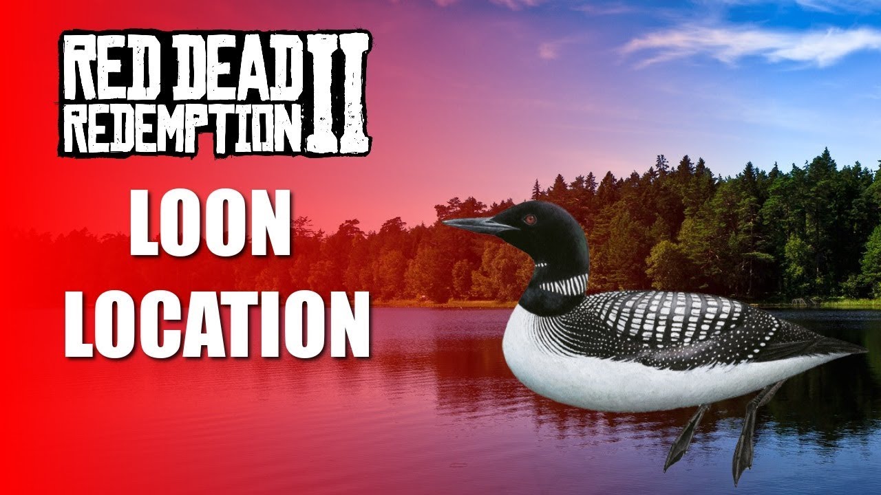 Loon Location Red Dead Online | Daily Challenge - YouTube