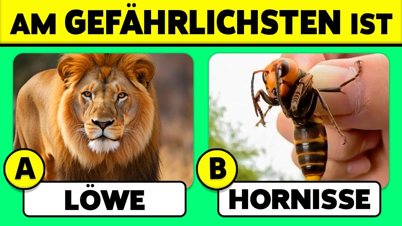 🧠 Wie gut ist dein Wissen über TIERE? 🦁🐘 50 Tiere Wissens-Quiz - YouTube
