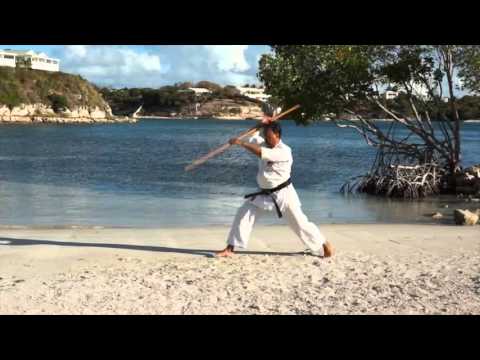 Bo Basics & 1st Bo Kata Shuji No Kon Sho Bo Kata - 周氏の棍 - アシュリーヤンセン ...