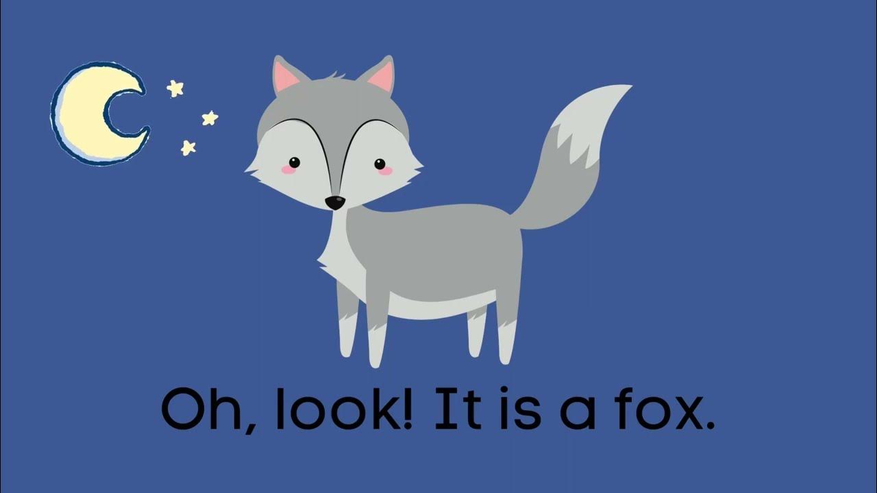 Sight Word 'Look' Nocturnal Animals, Voice-Over by Keith Berry, Early ...