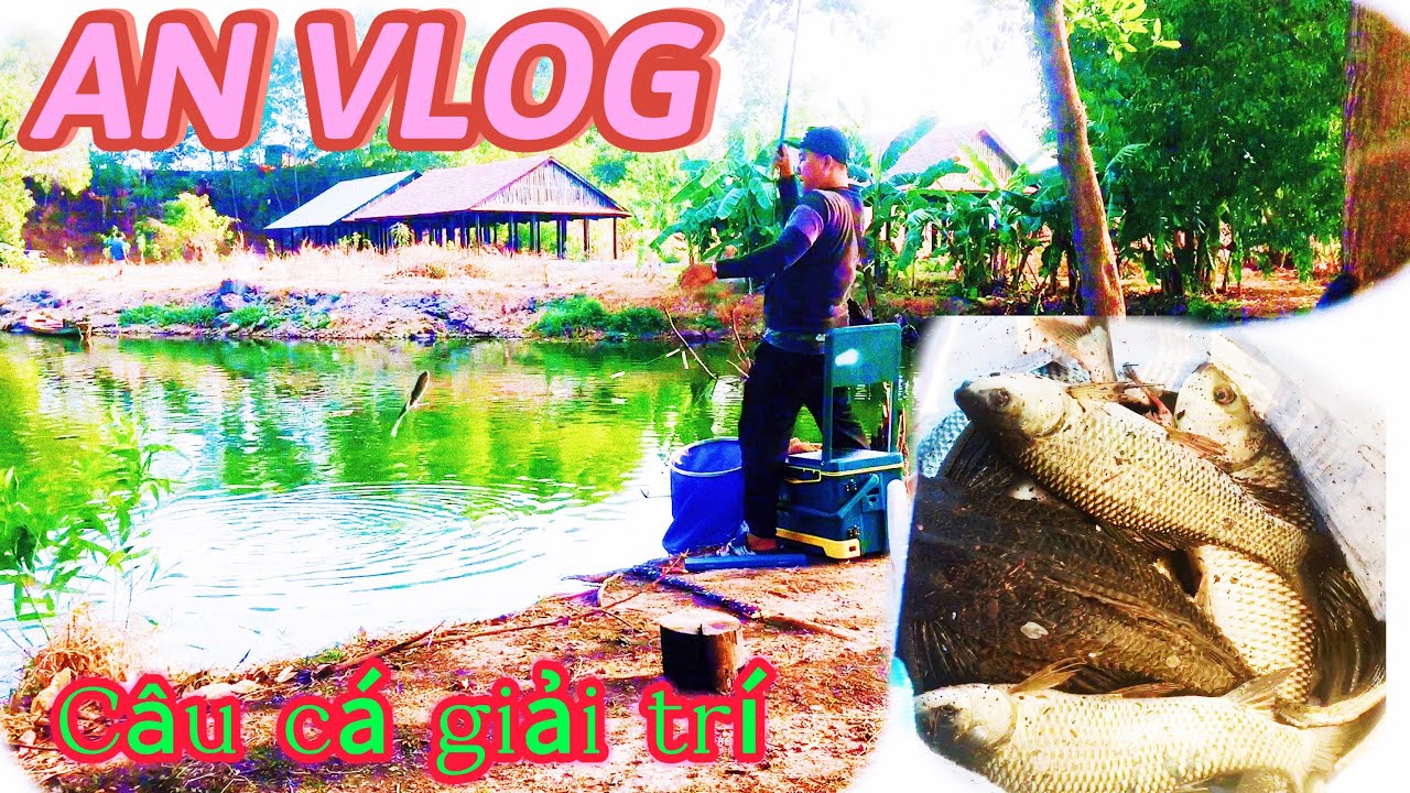 AN VLOG | MỘT NGÀY CÂU CÁ BẤT ỔN | CÂU CÁ GIẢI TRÍ - YouTube