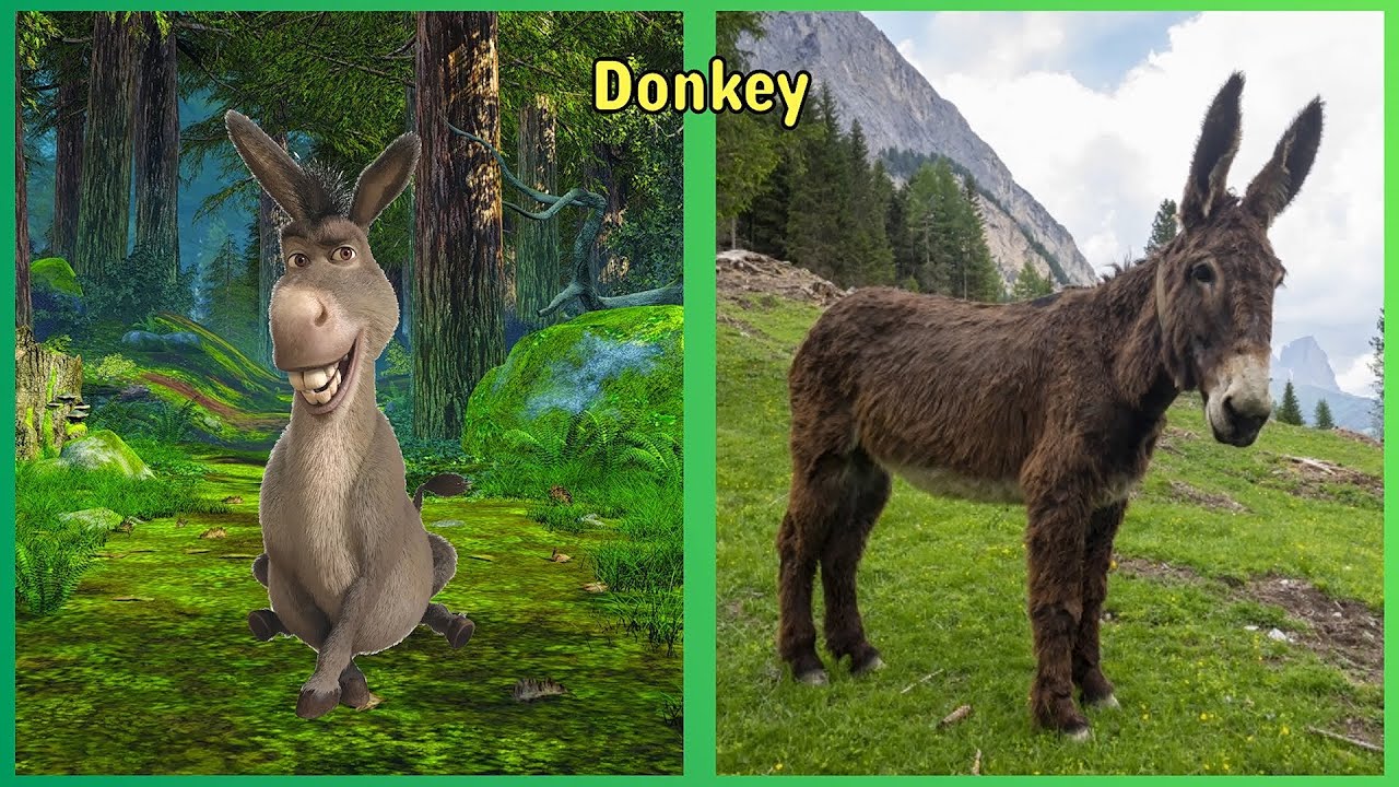 Shrek Characters In Real Life 2022 - YouTube