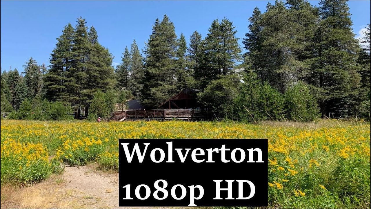 Wolverton Flower Field | Sequoia National Park | POV | 1080p HD - YouTube