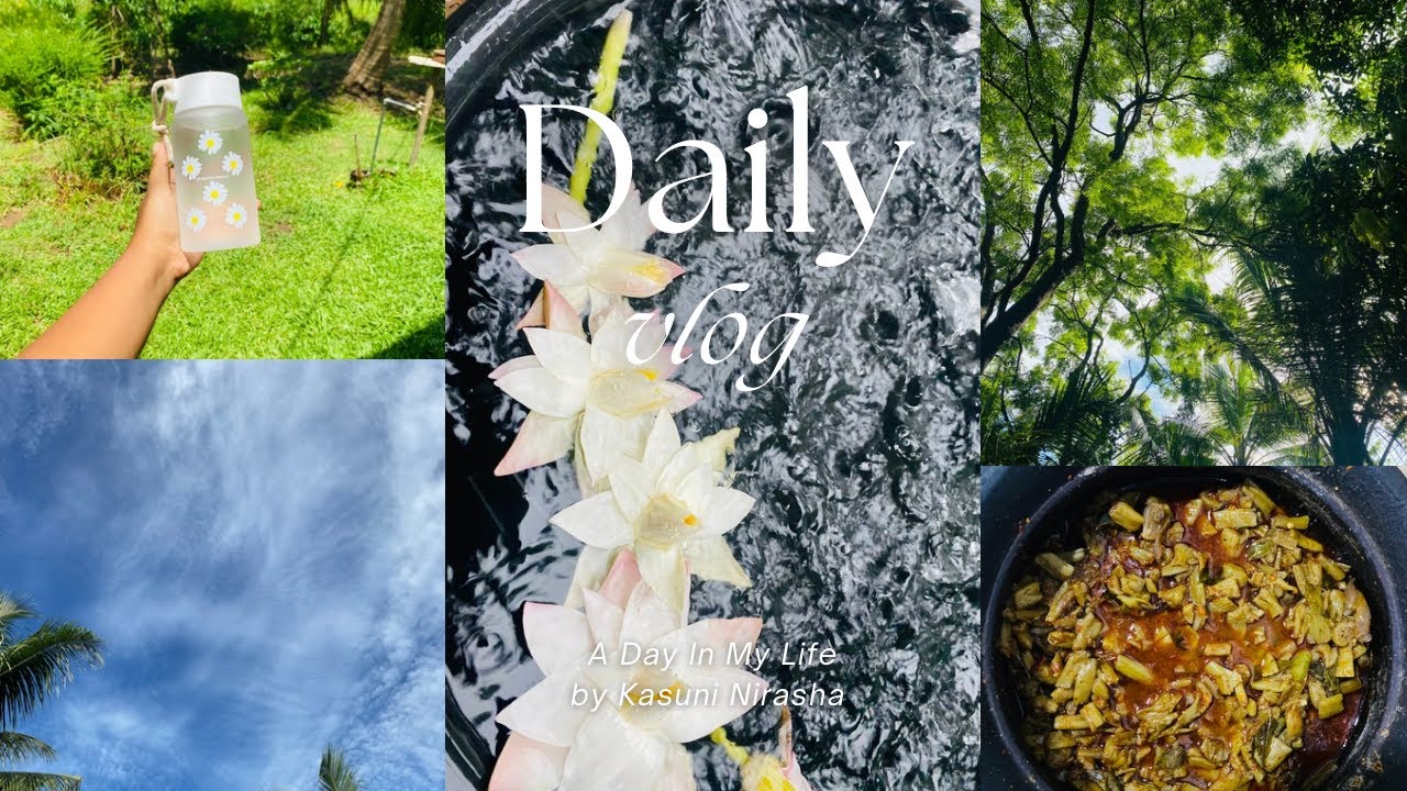 Day Vlog in my life 🌸 ️🍃 Let's make hairy water lilly stick curry 😋🪷 ...