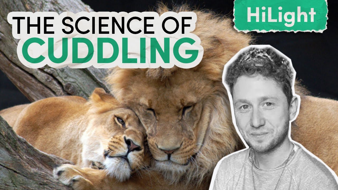 Your Brain On Cuddling // With Josh Wick - YouTube