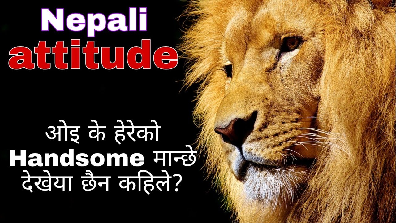 Nepali Attitude Status For FB Ll Nepali Attitude Quotes YouTube