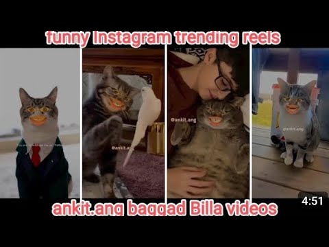 bagad billa viral video phul comedy 😝🤣 #bagad #Billa #viralvideo  #comedy 😝🤣