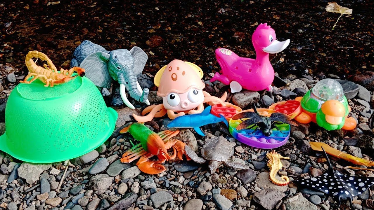 CATCH ducks, octopuses, turtles, scorpions, lobsters,sea turtles,squid ...