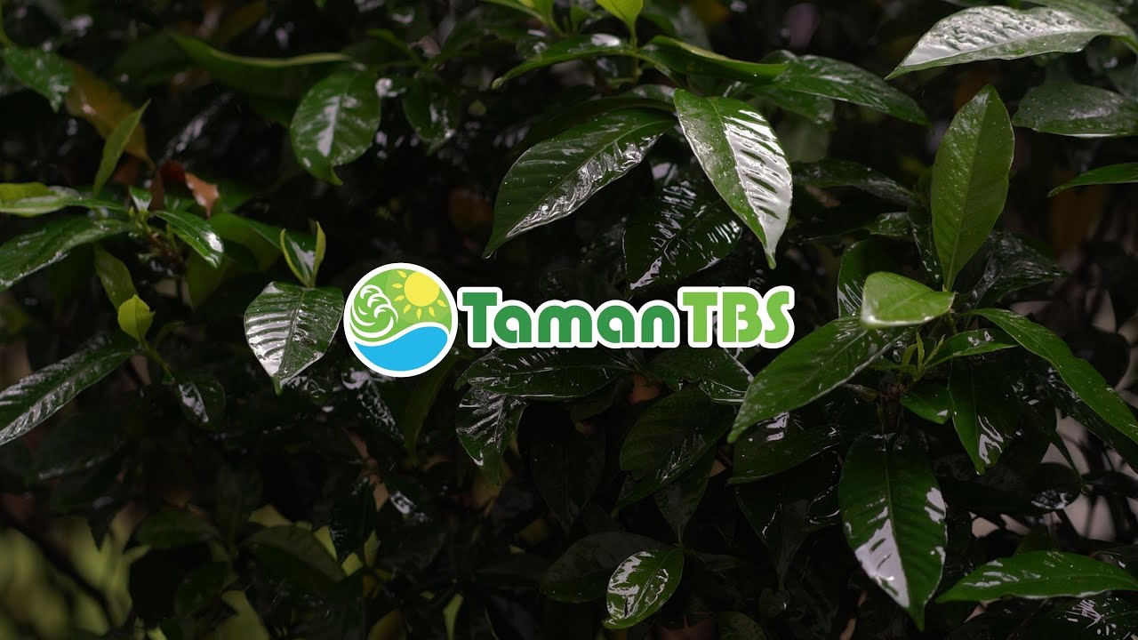 Taman TBS - Harmoni antara Tirta, Bayu, dan Surya - YouTube