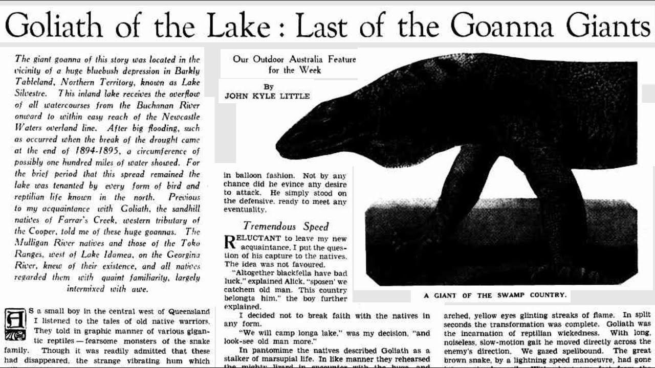 Goliath of the Lake - Last of the Goanna Giants - YouTube