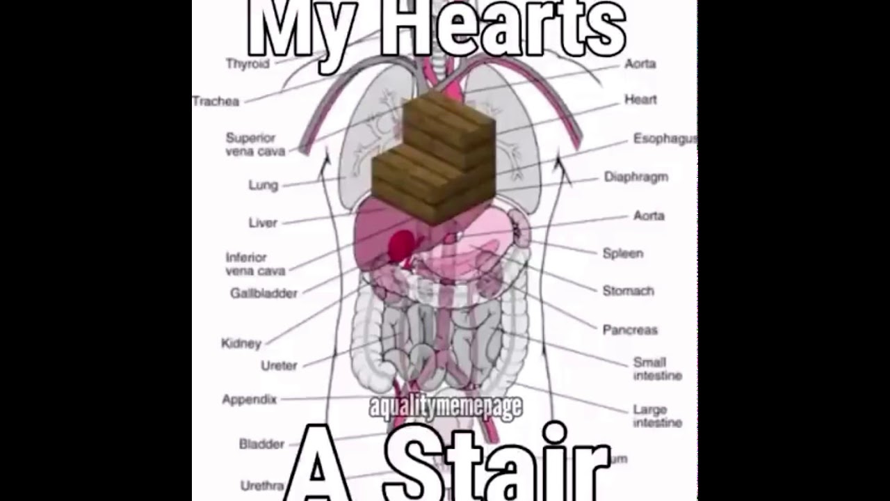 My heart’s a stair meme - YouTube