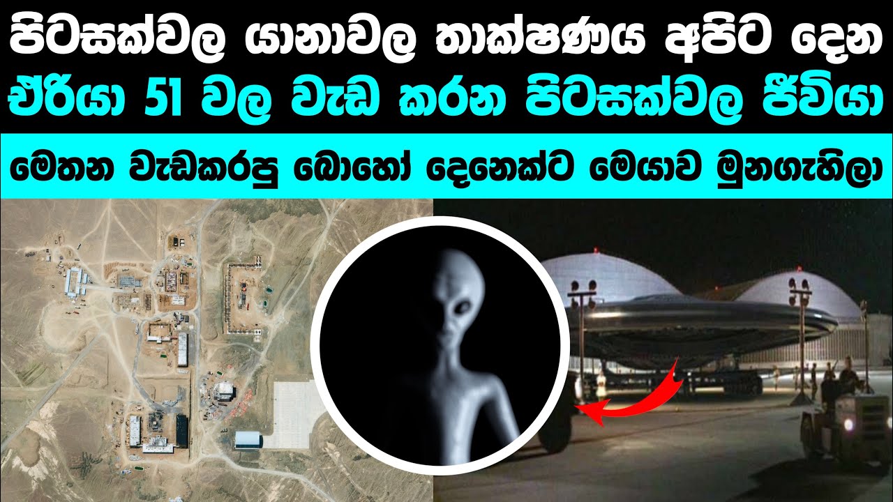 Area 51 හි වැඩ කරන පිටසක්වල ජීවියා | Alien that works in Area 51 - YouTube